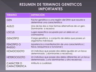 4. cromosomas | PPTX