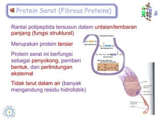 4.1.asam amino dan protein | PPT