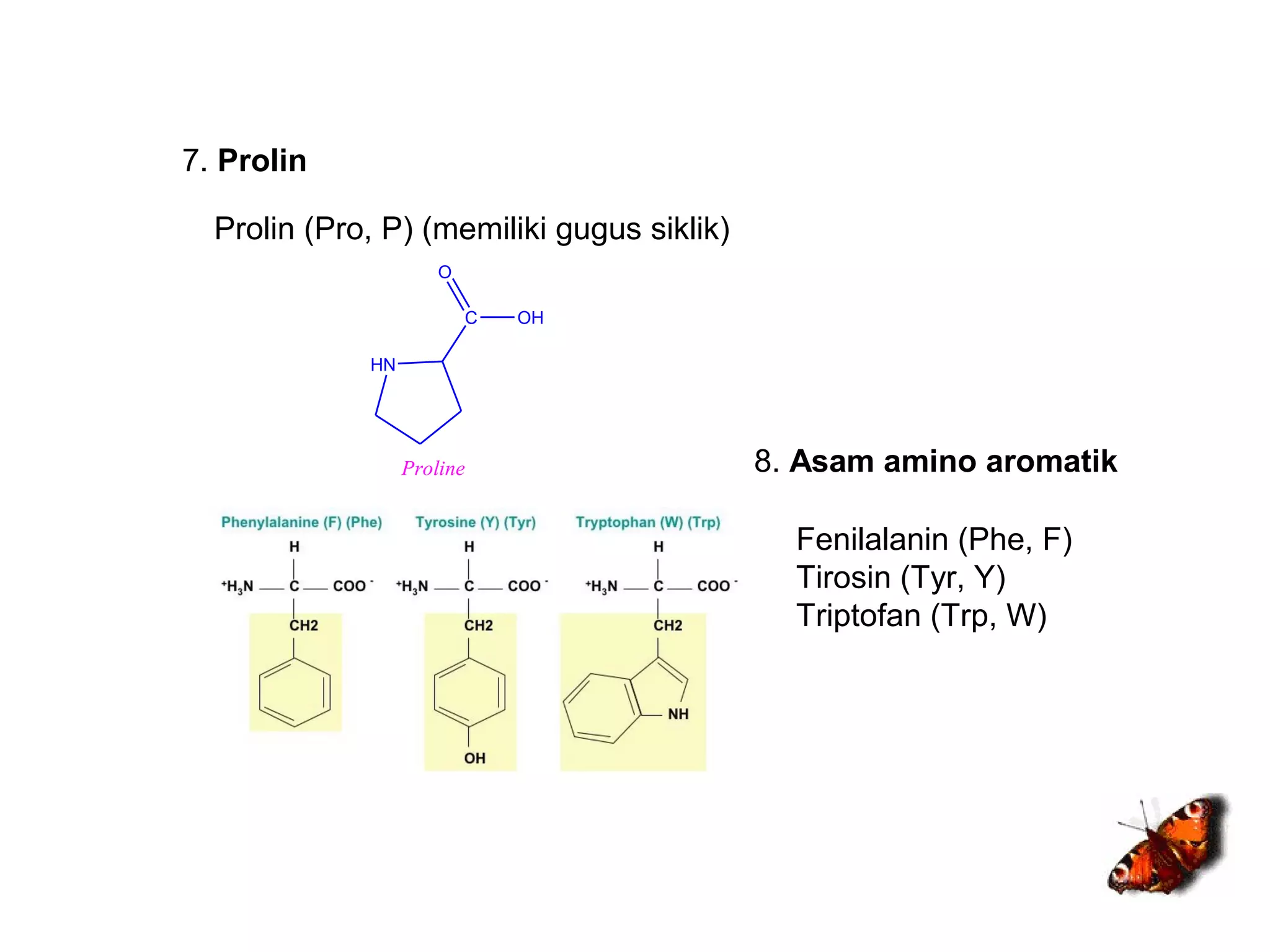 4.asam amino dan protein | PPT