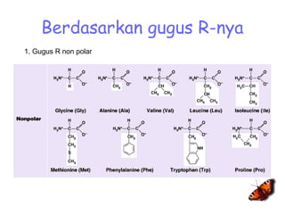 4.asam amino dan protein | PPT