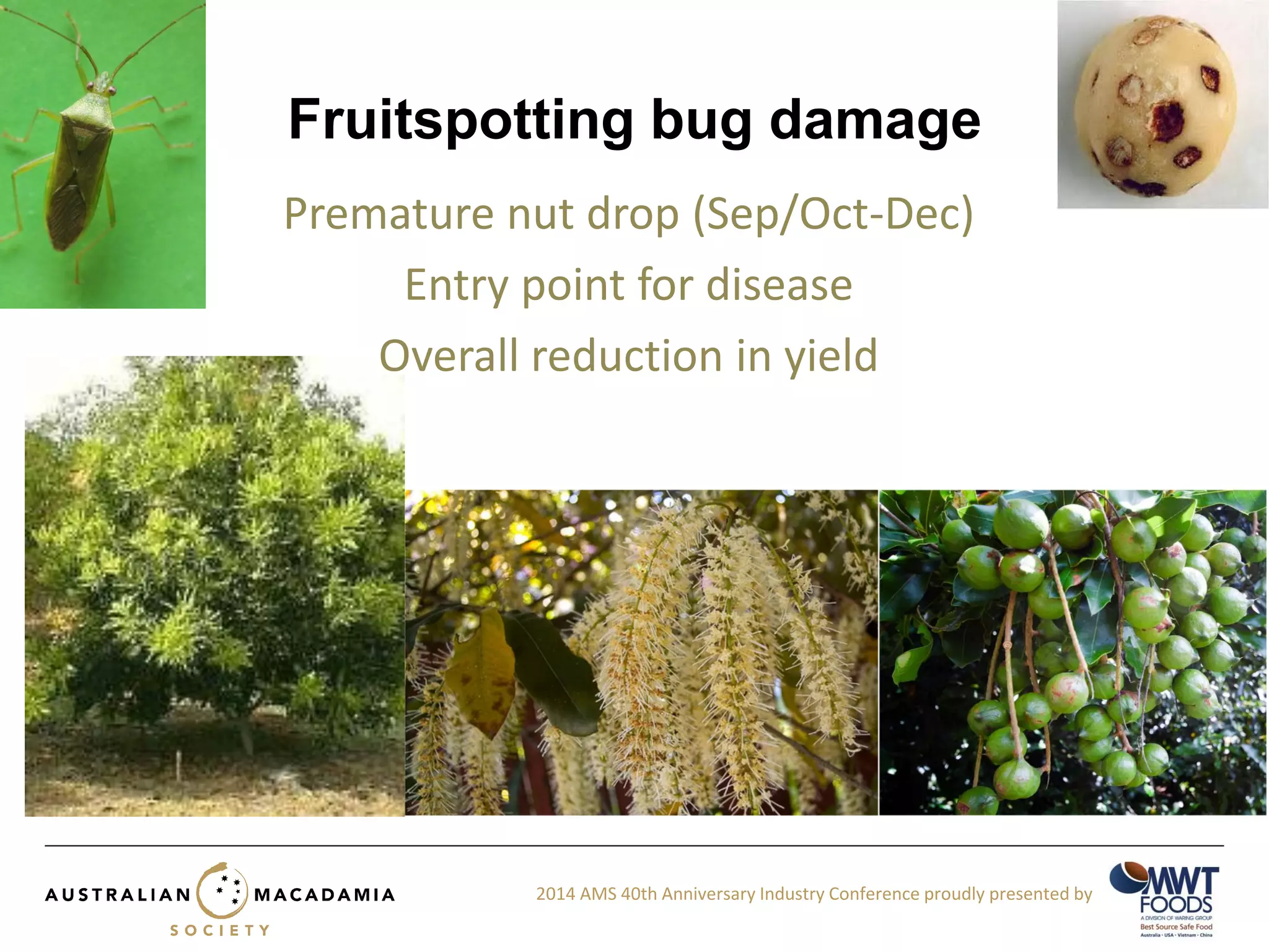 Alana Danne - The role of canopy density and ground-cover vegetation on ...