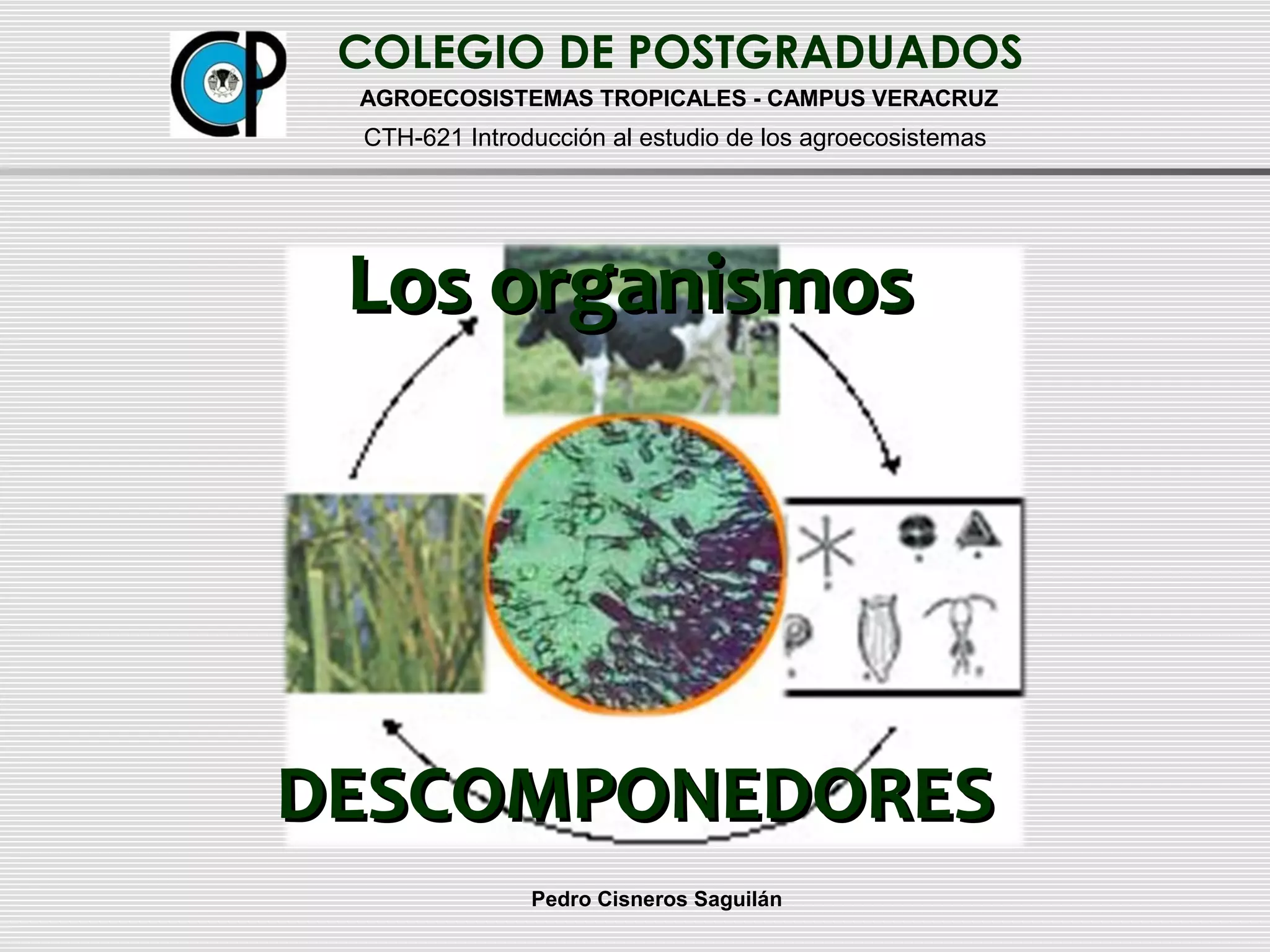 4.2 preceso de organismos descomponedores | PPT
