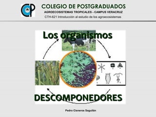 Biología Del Descomponedor