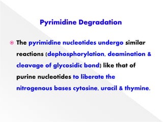 PYRIMIDINE DEGRADATION & DISORDERS | PPTX