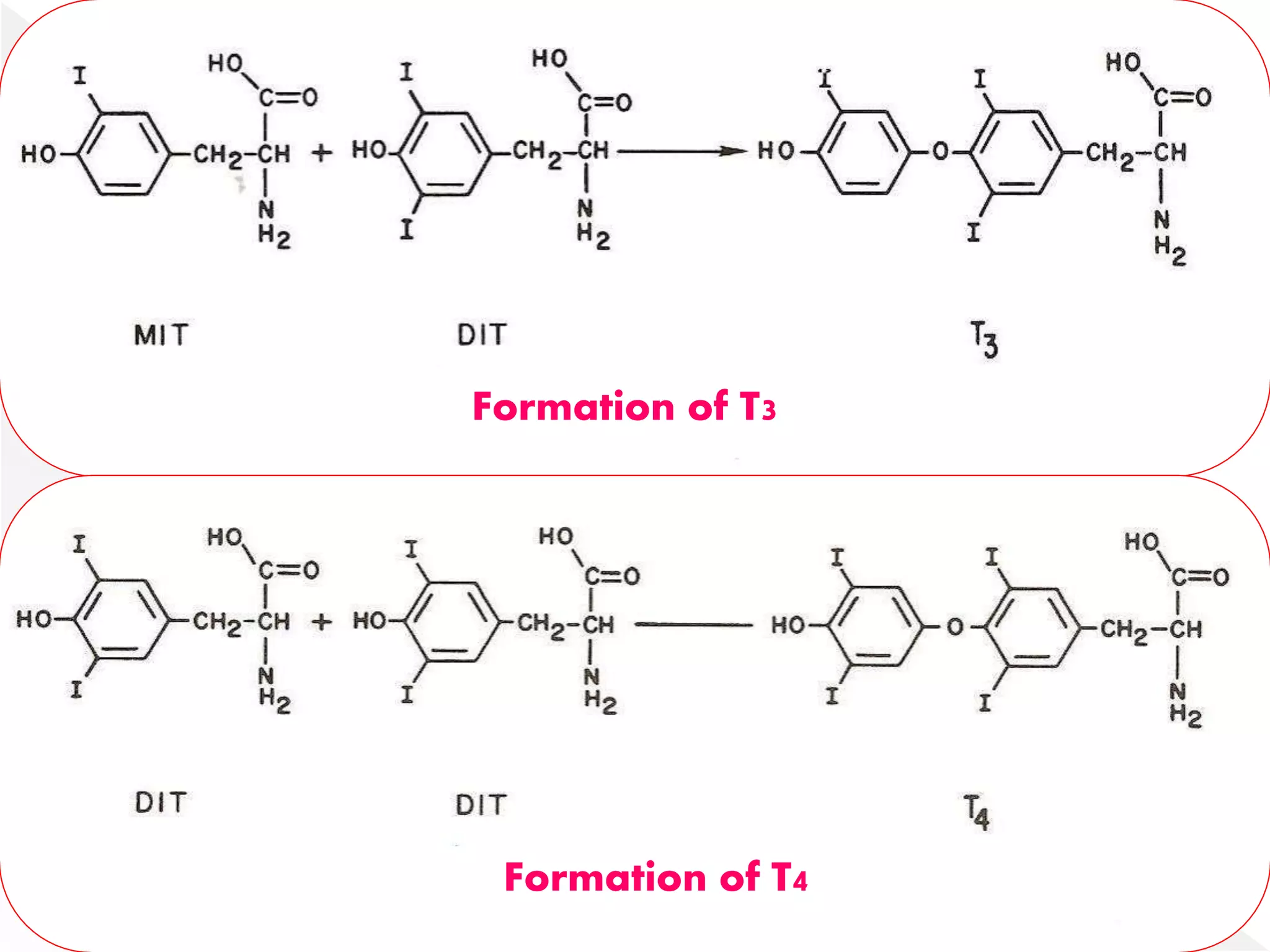 THYROID FUNCTION TESTS (TFT) | PPTX