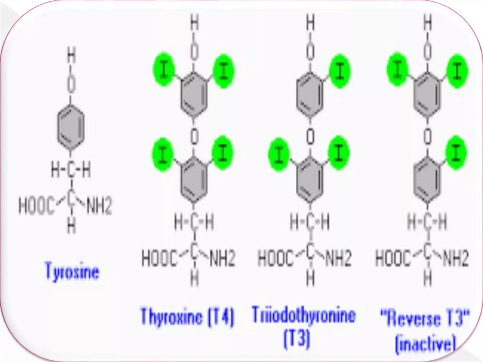 THYROID FUNCTION TESTS (TFT) | PPTX