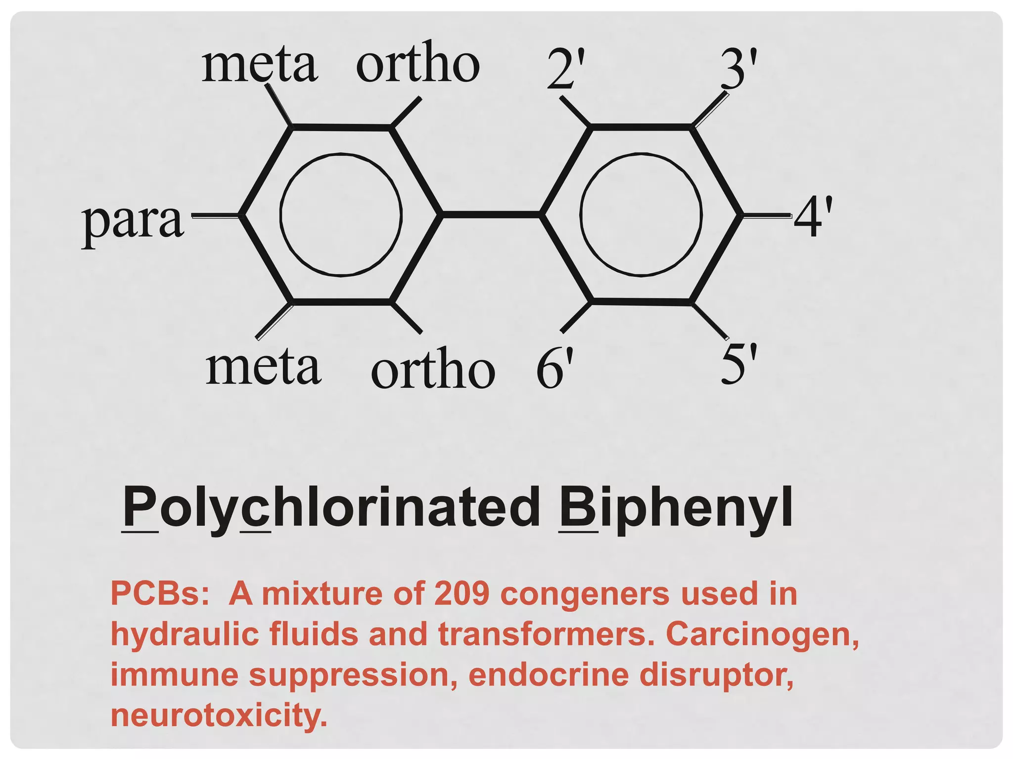 Session 4: How Environmental Exposures Can Reduce Cognitive Function in Children | PDF | Brain ...