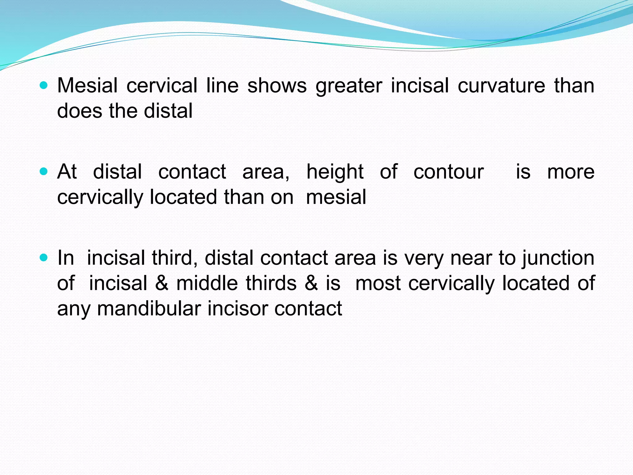 Permanent Mandibular Lateral Incisor | PPTX