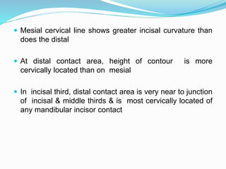 Permanent Mandibular Lateral Incisor | PPTX