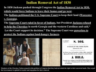 Hogan's History- Jacksonian Democracy | PPT