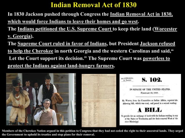 Hogan's History- Jacksonian Democracy | PPT