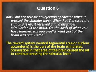 4.04 drug abuse and addiction | PPT