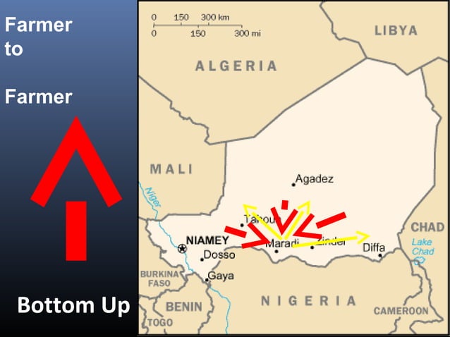 FMNR: Achieving Scale Up | PPT