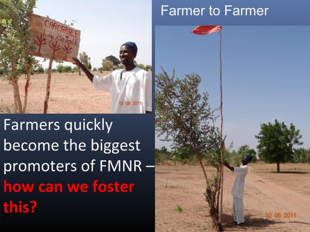 FMNR: Achieving Scale Up | PPT