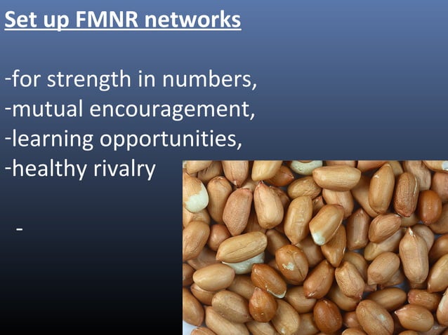 FMNR: Achieving Scale Up | PPT