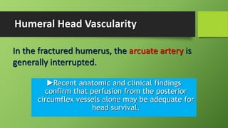 4. humerus fractures | PPTX