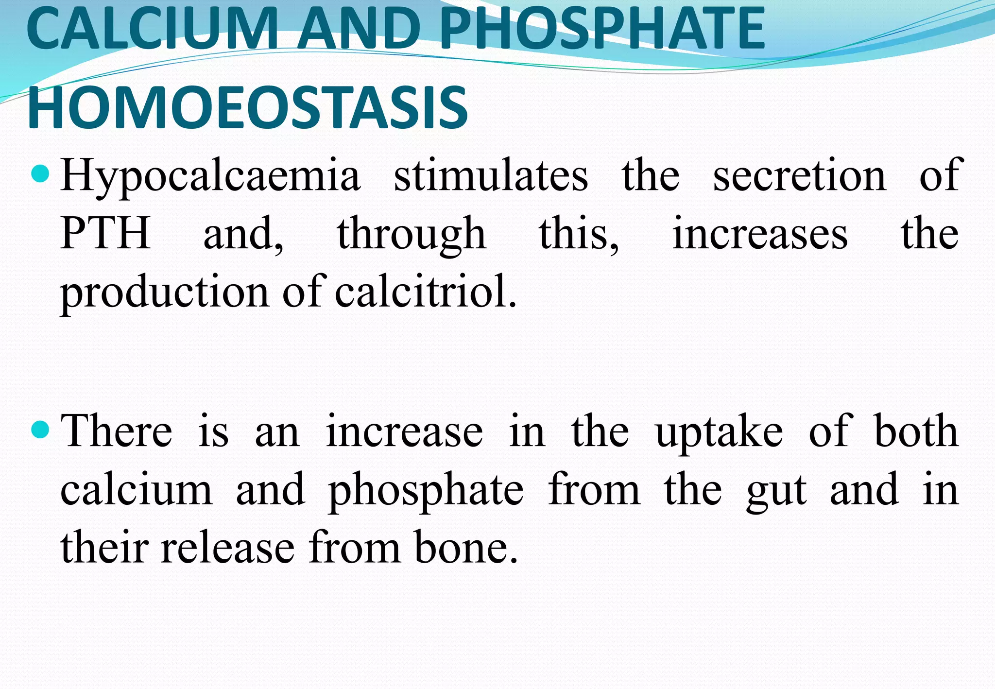 4. calcium phosphate magnesium | PPTX