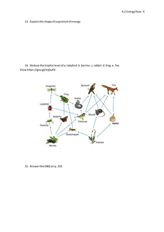 4.2 energy flow notes | PDF