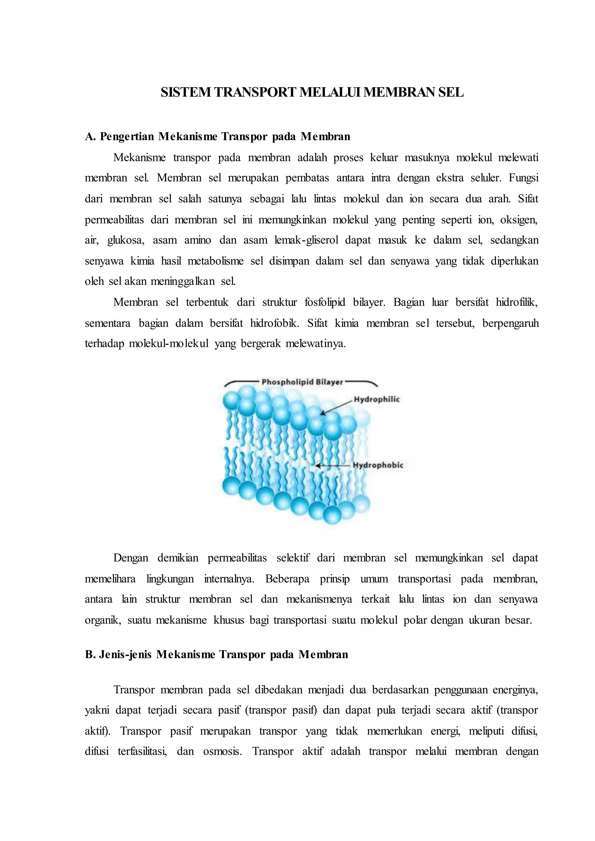 Sistem Transport Melalui Membran Sel | DOCX