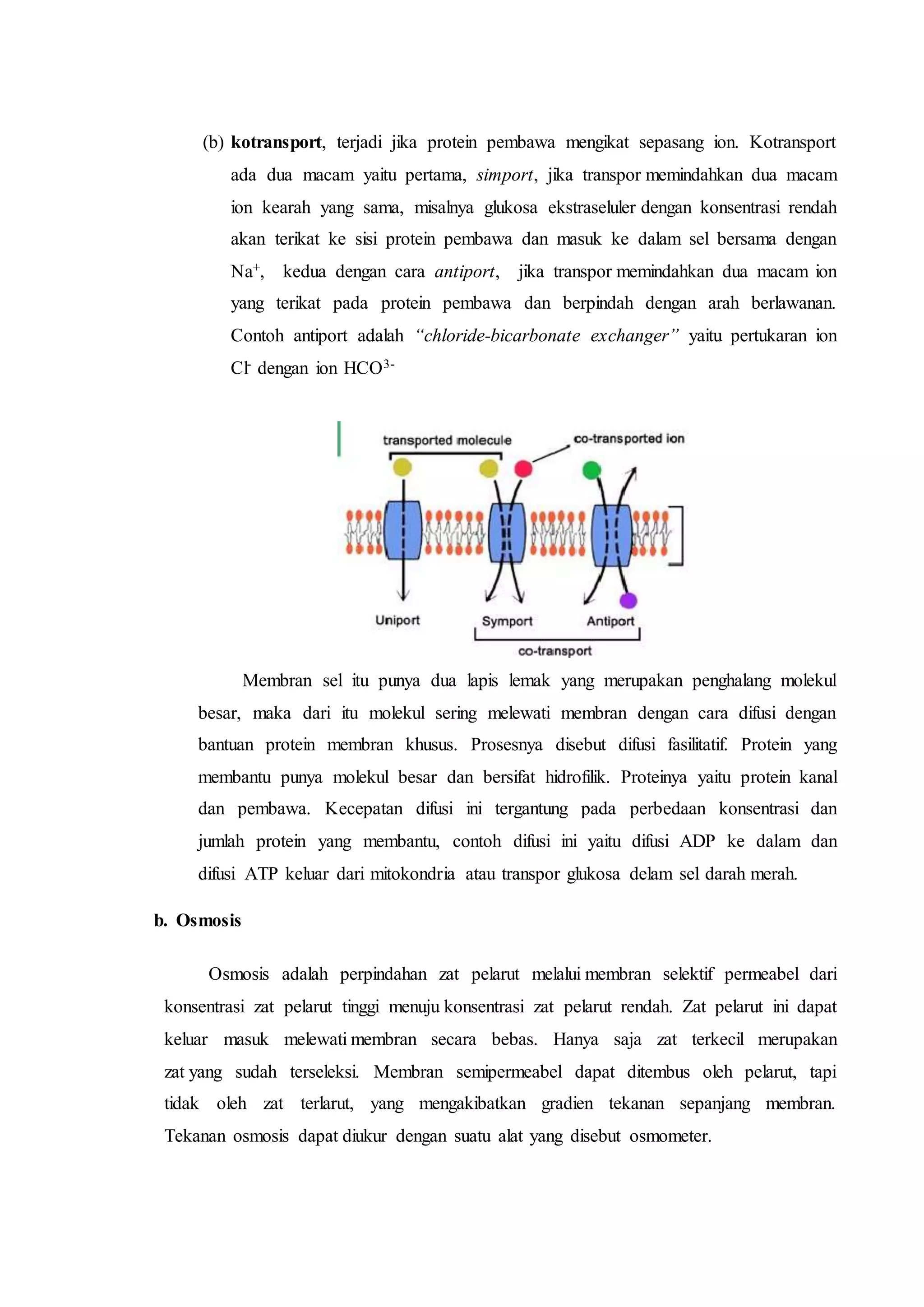 Sistem Transport Melalui Membran Sel | DOCX