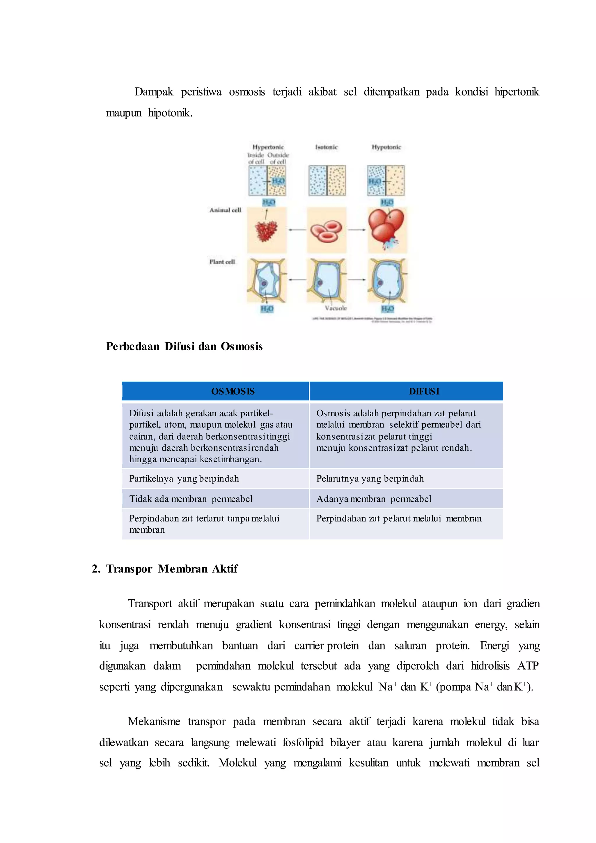 Sistem Transport Melalui Membran Sel | DOCX