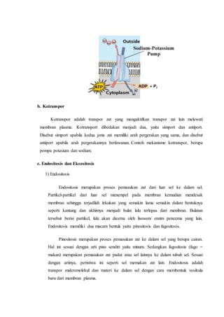 Sistem Transport Melalui Membran Sel | DOCX