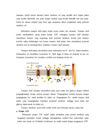Sistem Transport Melalui Membran Sel | DOCX