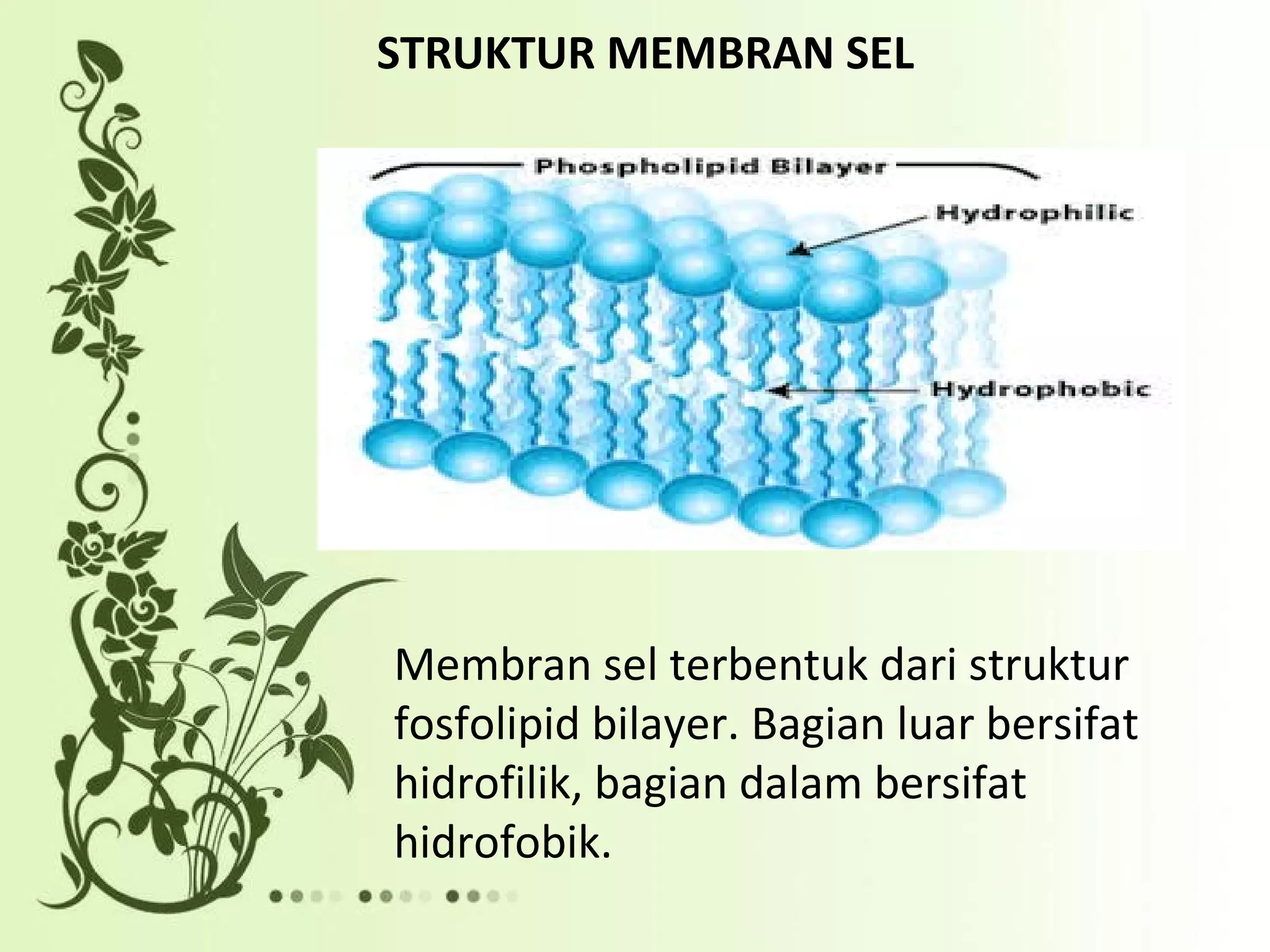 Sistem Transport Melalui Membran Sel | PPT