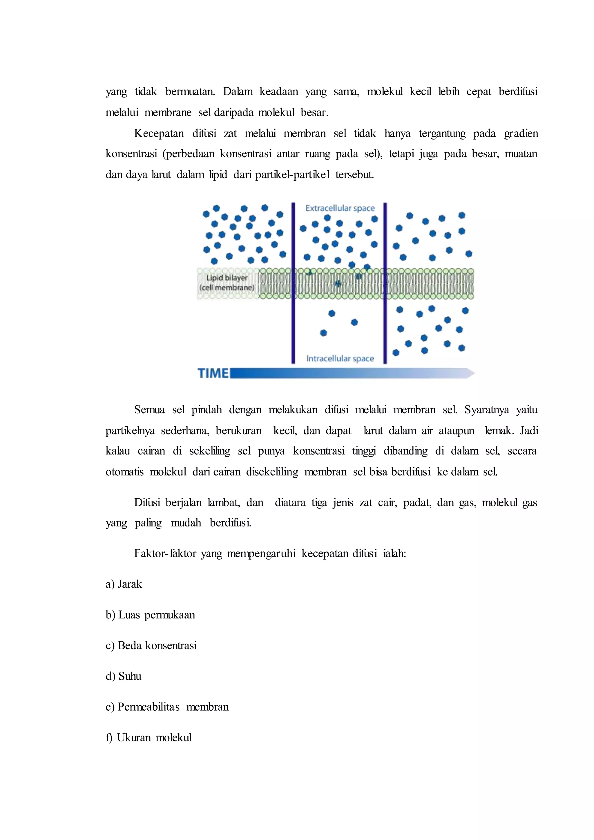 4. sistem transport melalui membran sel | DOCX