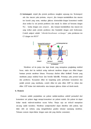 4. sistem transport melalui membran sel | DOCX