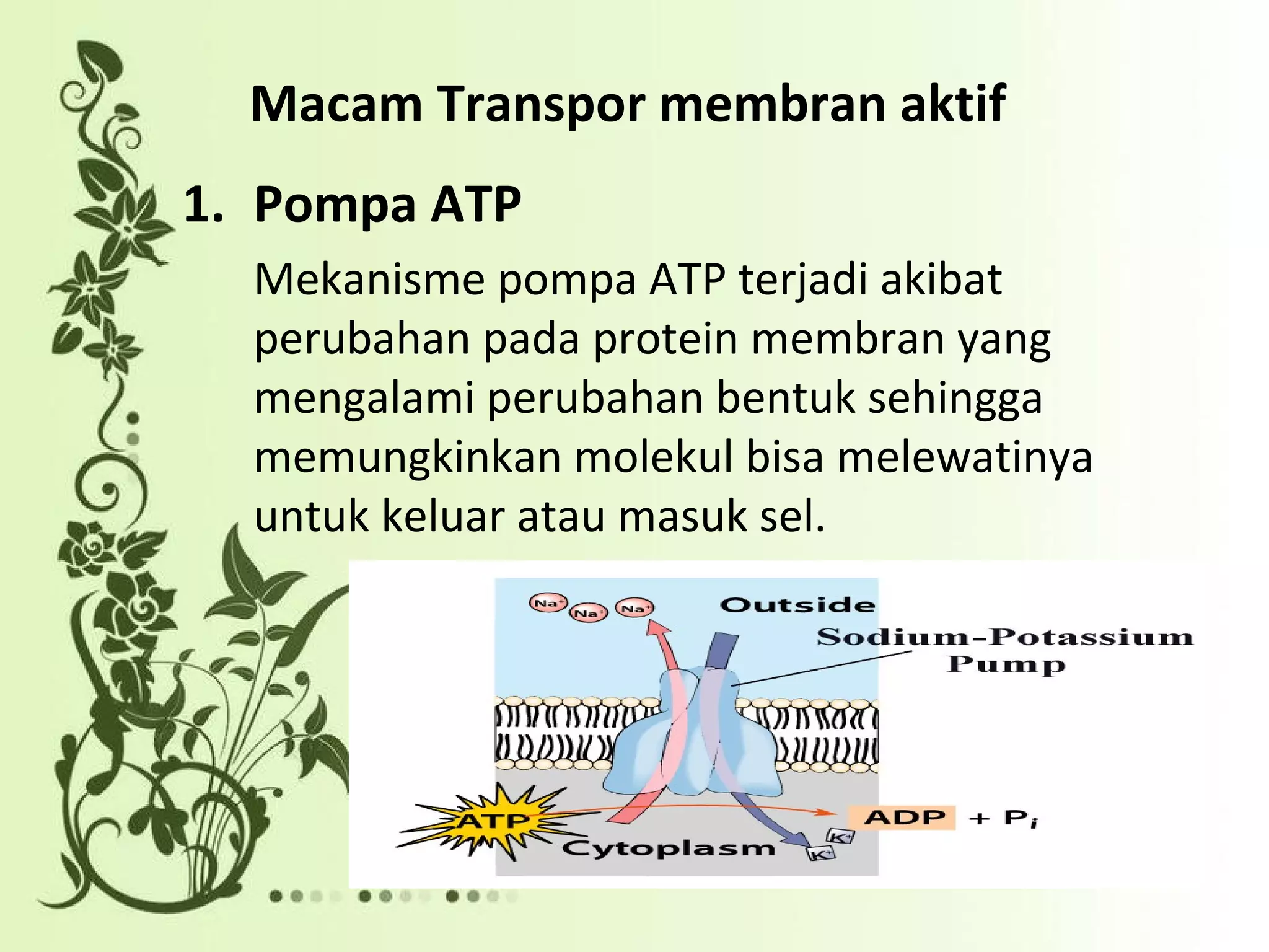 4. sistem transport melalui membran sel | PPT