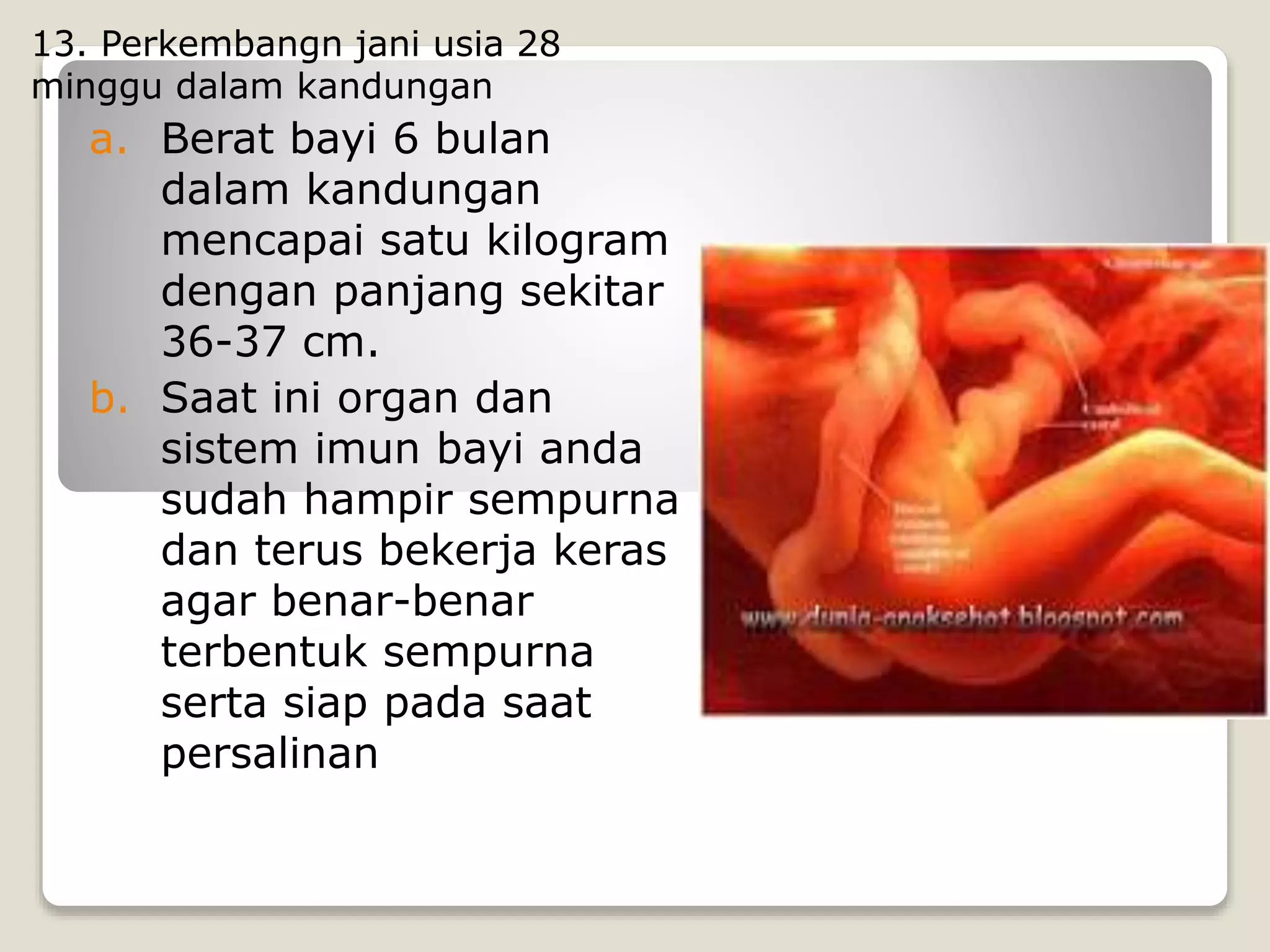 Perkembangan janin Trimester kedua | PPTX