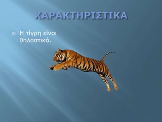 ΤΙΓΡΗΣ | PPT