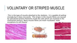 4. unicellular, multicellular & cell differentiation | PPTX