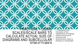 4. unicellular, multicellular & cell differentiation | PPTX