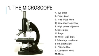 4. unicellular, multicellular & cell differentiation | PPTX