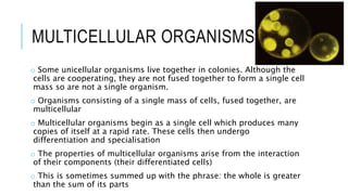 4. unicellular, multicellular & cell differentiation | PPTX