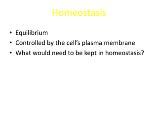 Cell Movement: Regulation | PPTX | Biological Sciences | Science