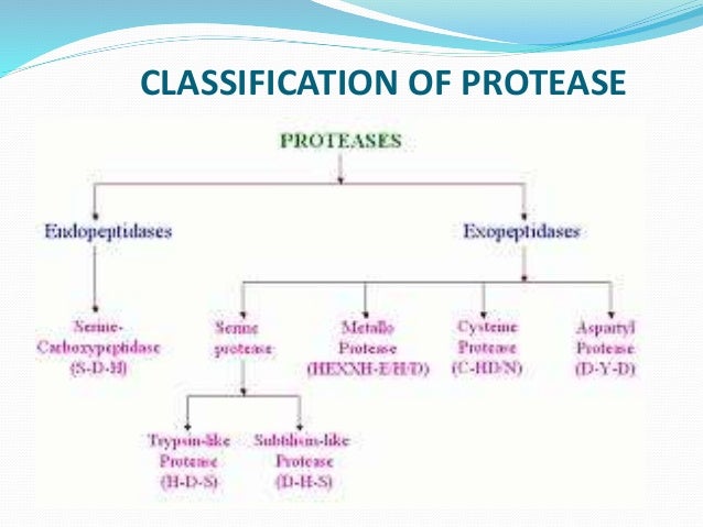 Protease Drug Inhibitors In Aids