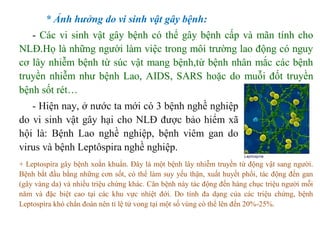 An toàn lao động - VSLĐ chung | PDF