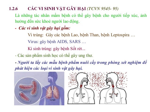 An toàn lao động - VSLĐ chung