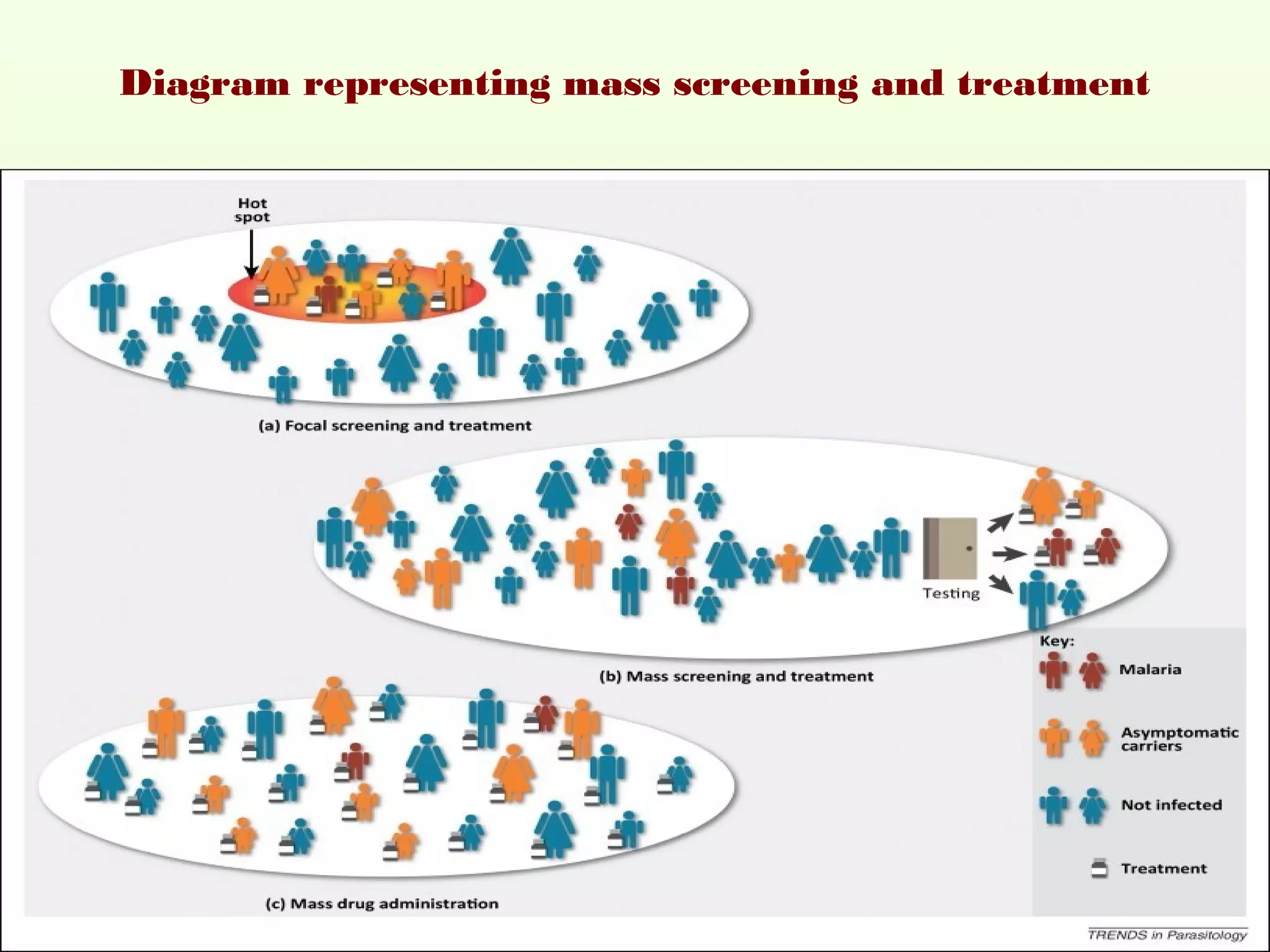 Types of Screening | PPT