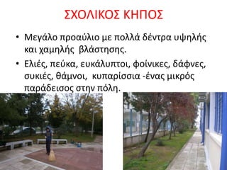 ΠΕΡΙΒΑΛΛΟΝΤΙΚΗ ΟΜΑΔΑ 4ου ΓΥΜΝΑΣΙΟΥ ΑΜΑΡΟΥΣΙΟΥ | PPSX