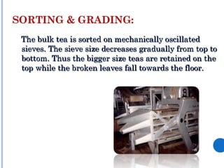 4.black tea manufacturing processes A Lecture By Mr. Allah Dad Khan ...