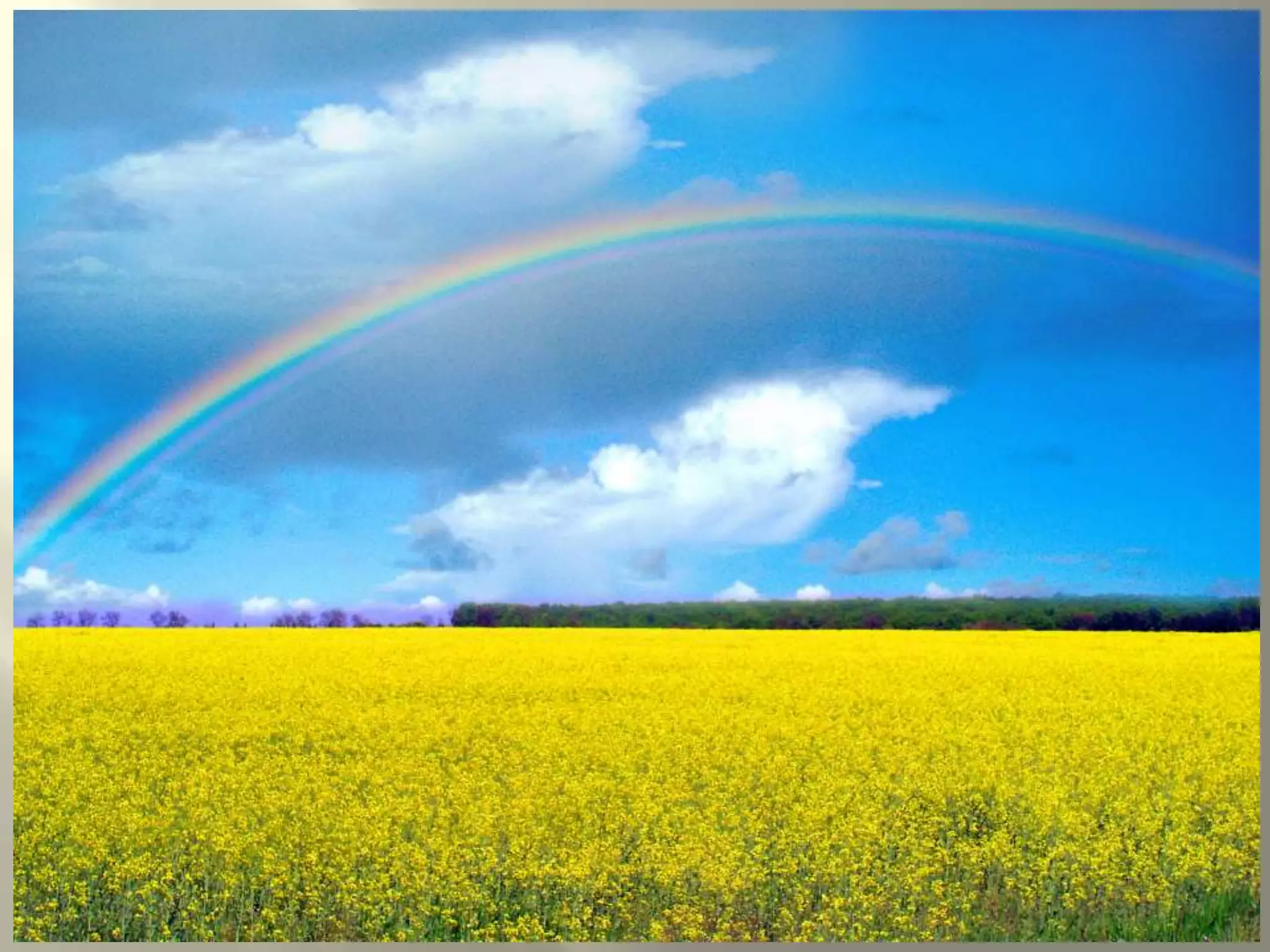 Новоархангельськ | PPTX