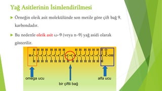 Oleik Asit Trigliserid
