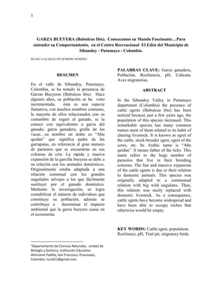 Guairasacha (Censo poblacional e impacto ambiental de la garza bueyera ...
