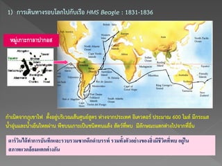 4 PDF 4-pdf