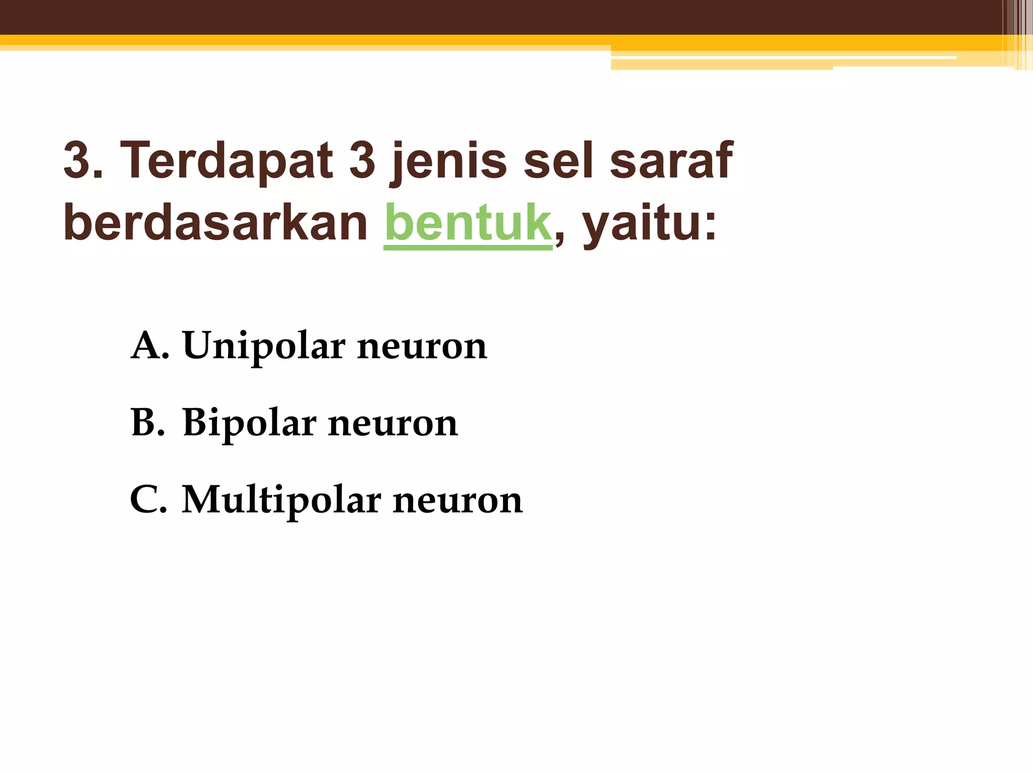 SISTEM SARAF | PPTX
