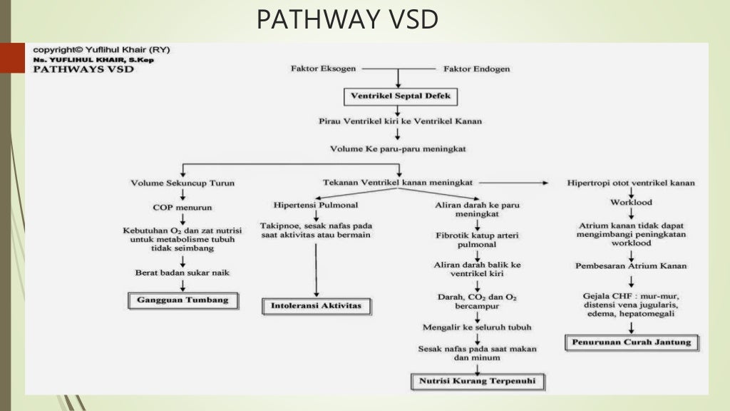 ASKEP VENTRICULAR SEPTAL DEFECT (VSD)